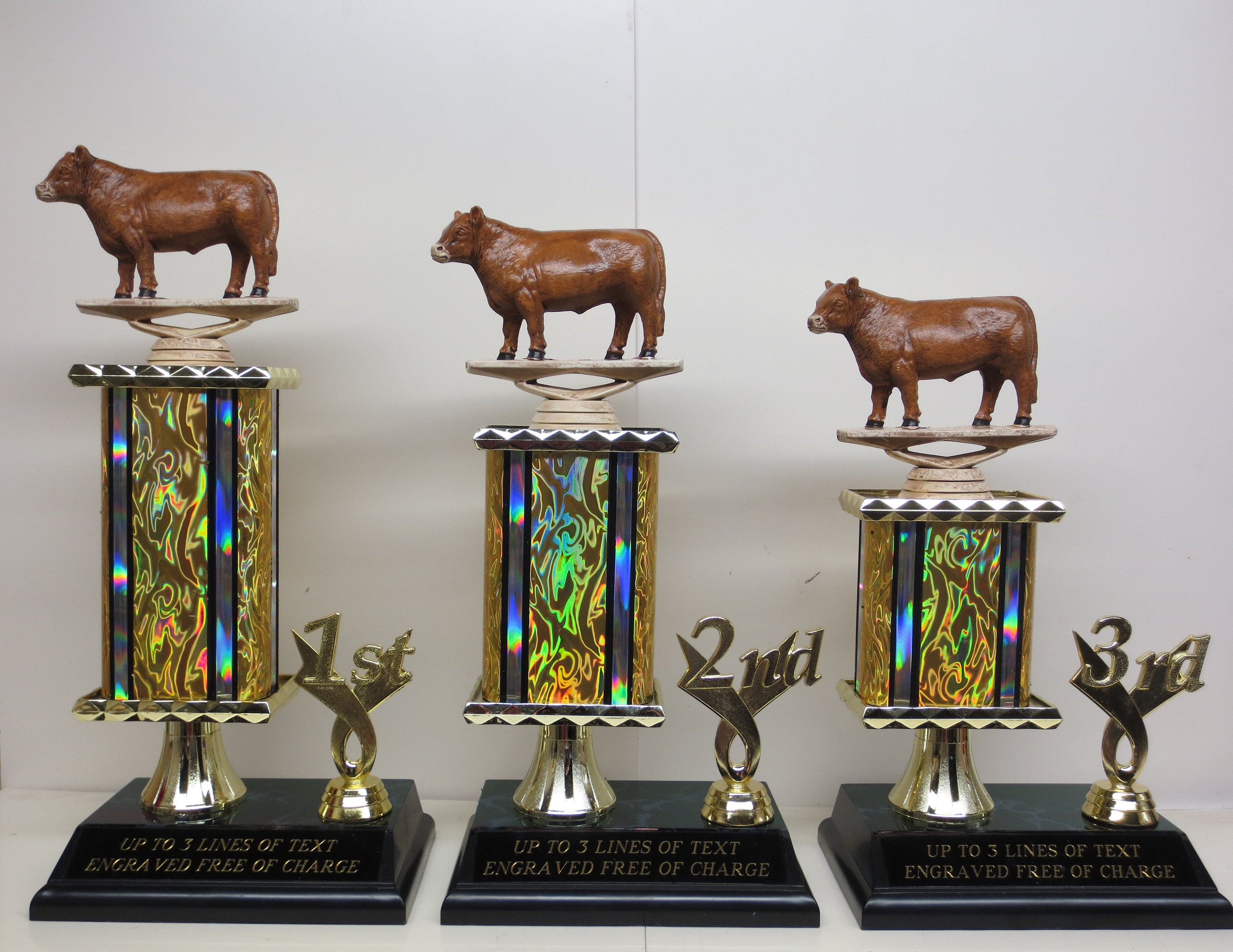 BBQ Trophies Cow Trophy Trophies Best BBQ Cook Off Trophies Brisket Ha ...